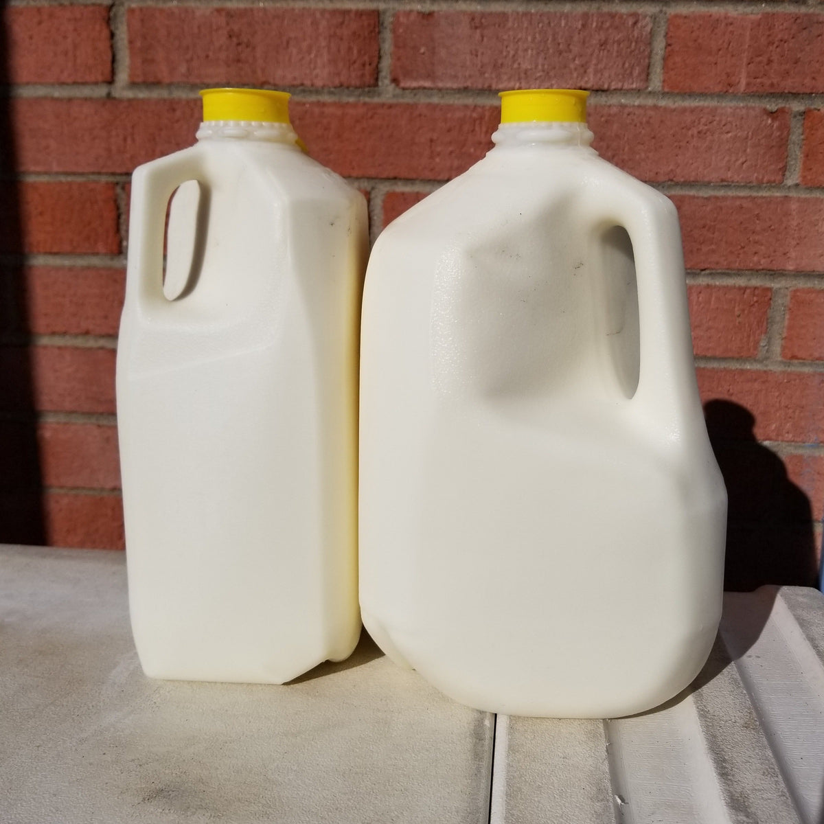 Milk WHOLE A2 Cow HALF GALLON – wholesomenova