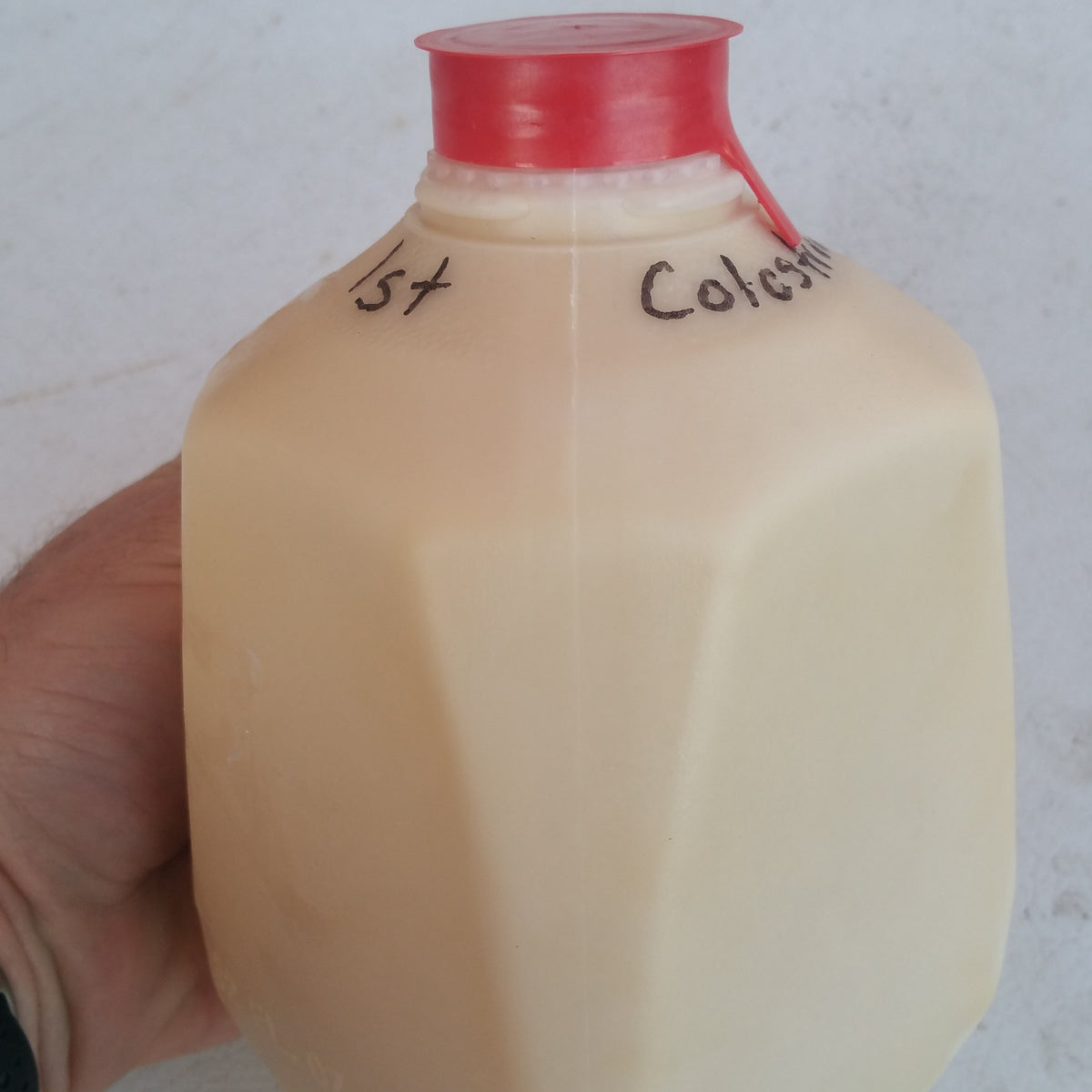 Colostrum Frozen 1st and 2nd milking – wholesomenova