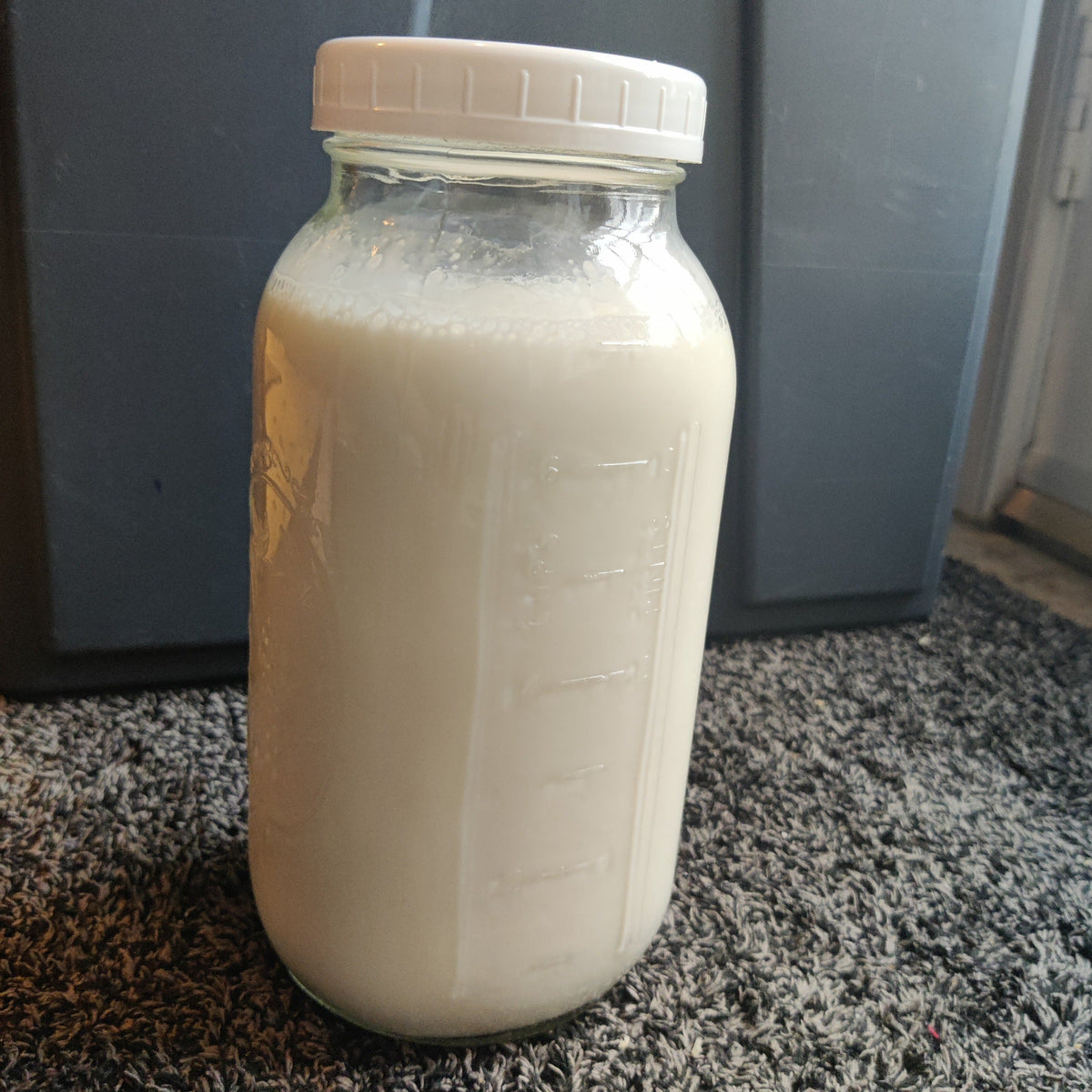 Milk WHOLE A2 Cow GLASS Jars – wholesomenova