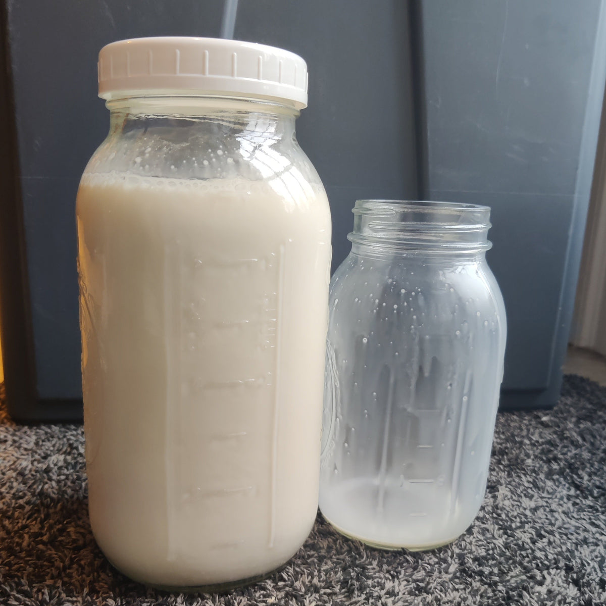 Milk WHOLE A2 Cow GLASS Jars – wholesomenova