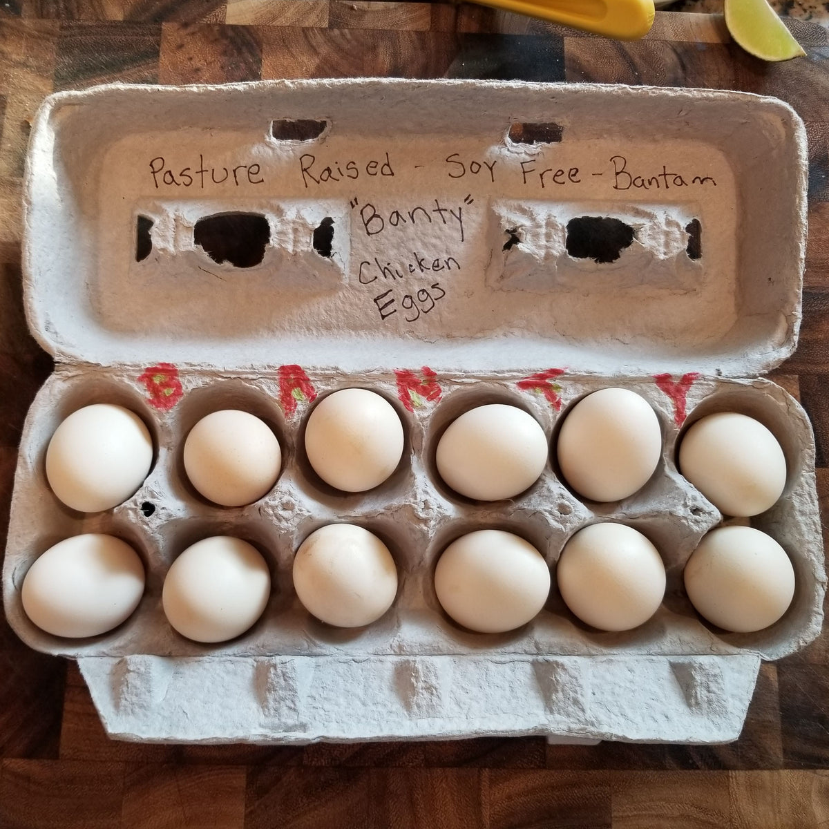 Eggs - Banty (Bantam) Chickens – wholesomenova