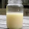 Chicken Fat Rendered – wholesomenova